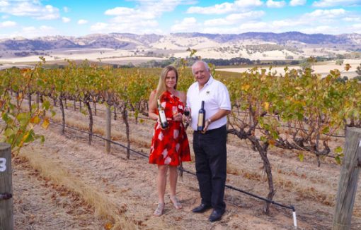 Gallery - God's Hill Wines